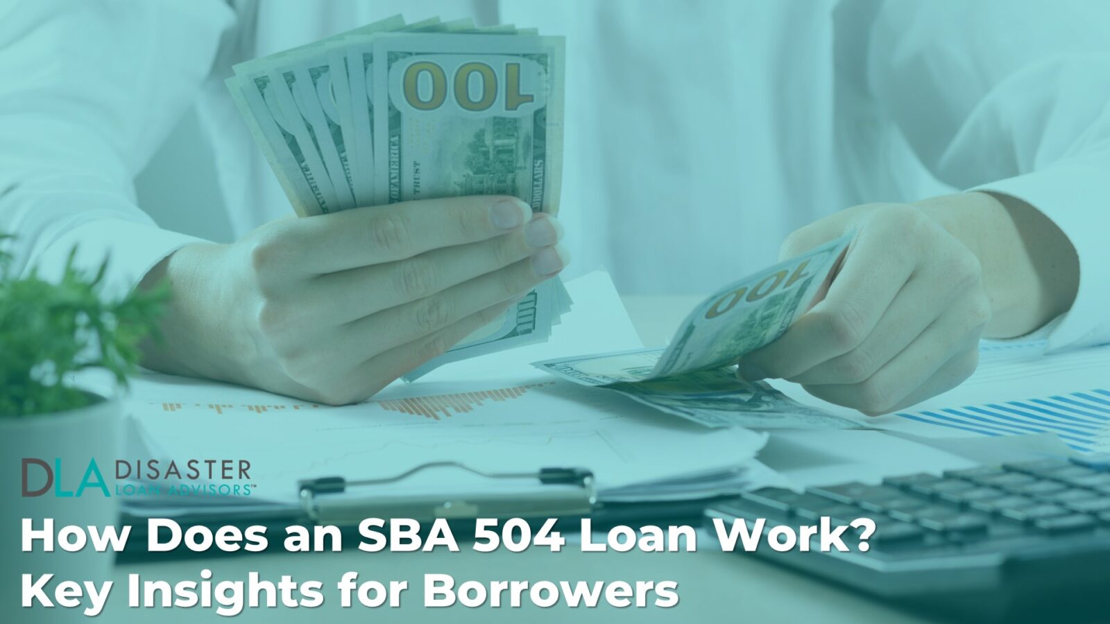 How Does an SBA 504 Loan Work? Key Insights for Borrowers