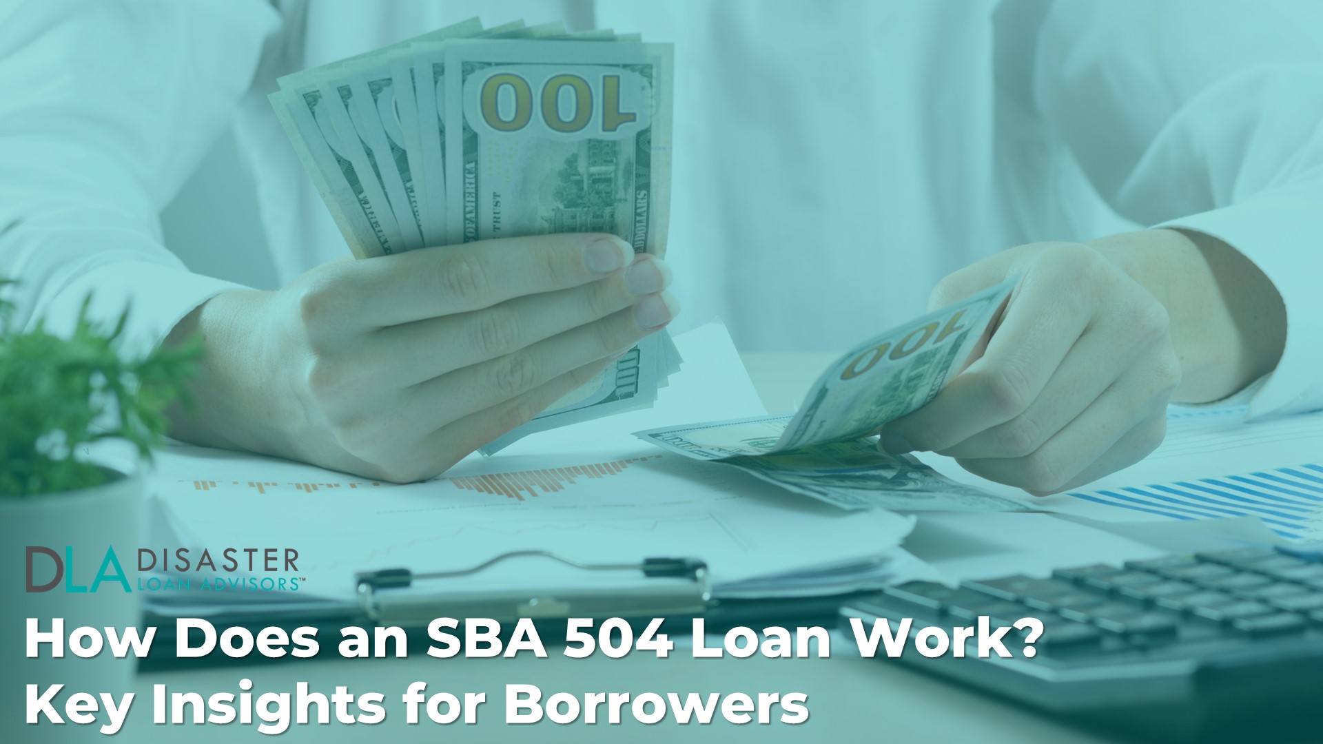 How Does an SBA 504 Loan Work? Key Insights for Borrowers